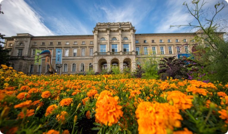 Germany MICE Destinations: Premier Event Venues & Incentive Travel with ...